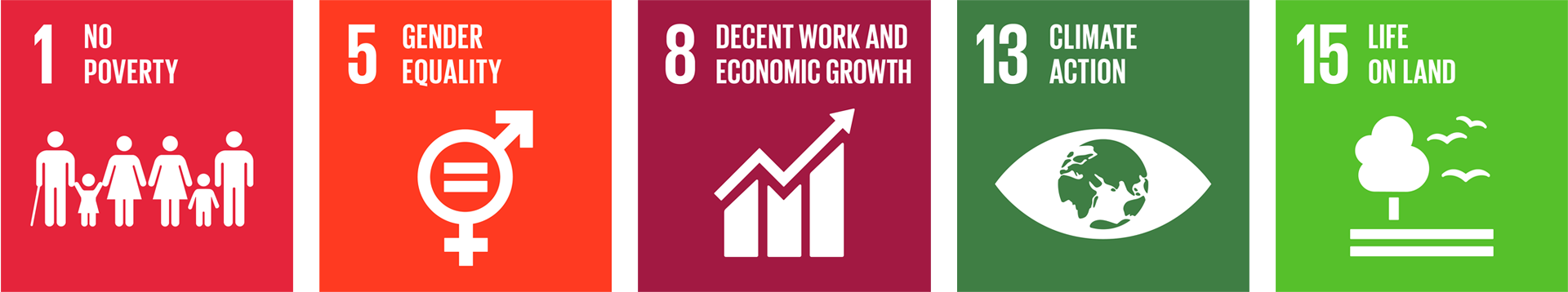 Working towards the Sustainable Development Goals | Tree Aid