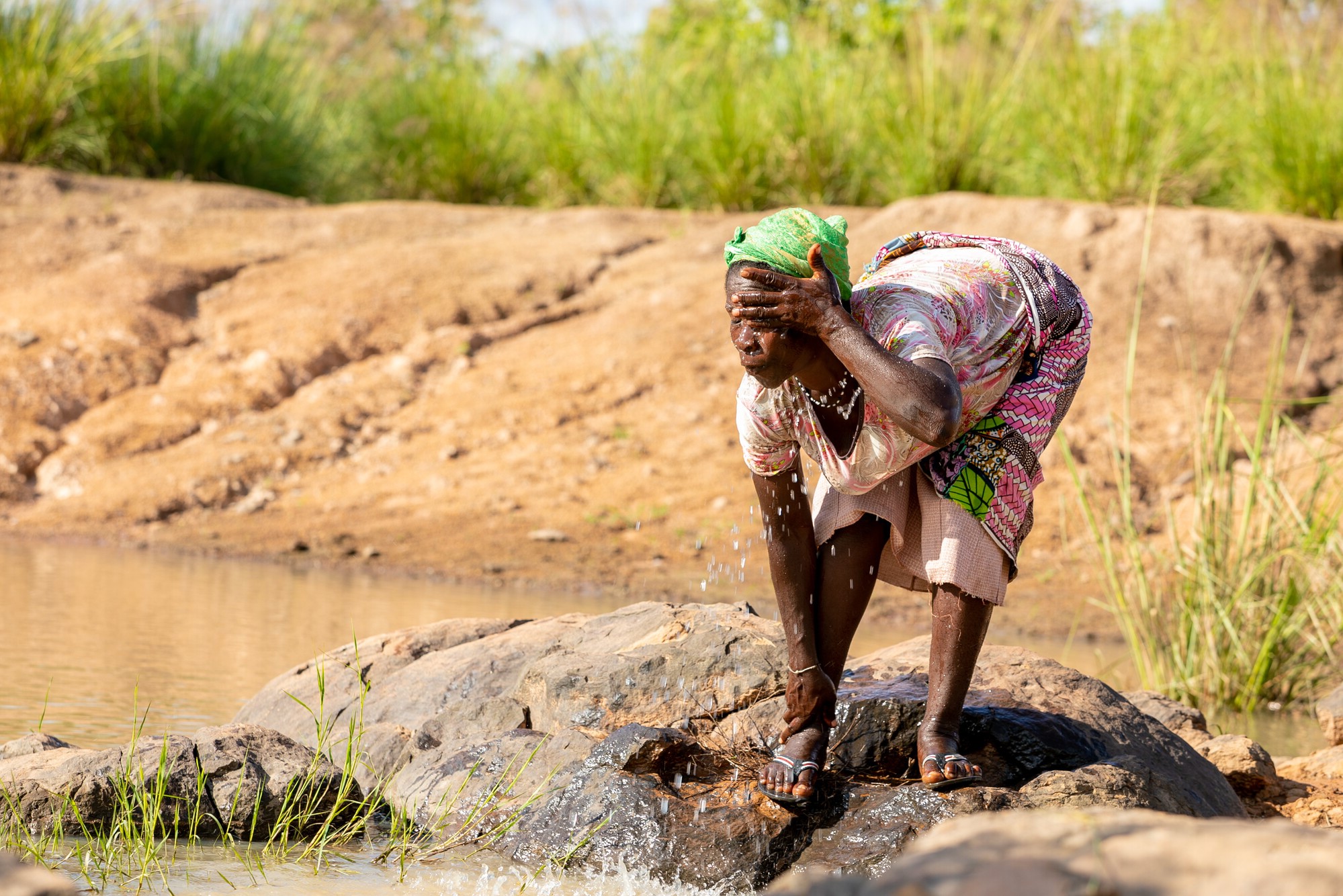 How can trees tackle heatwaves? | Tree Aid