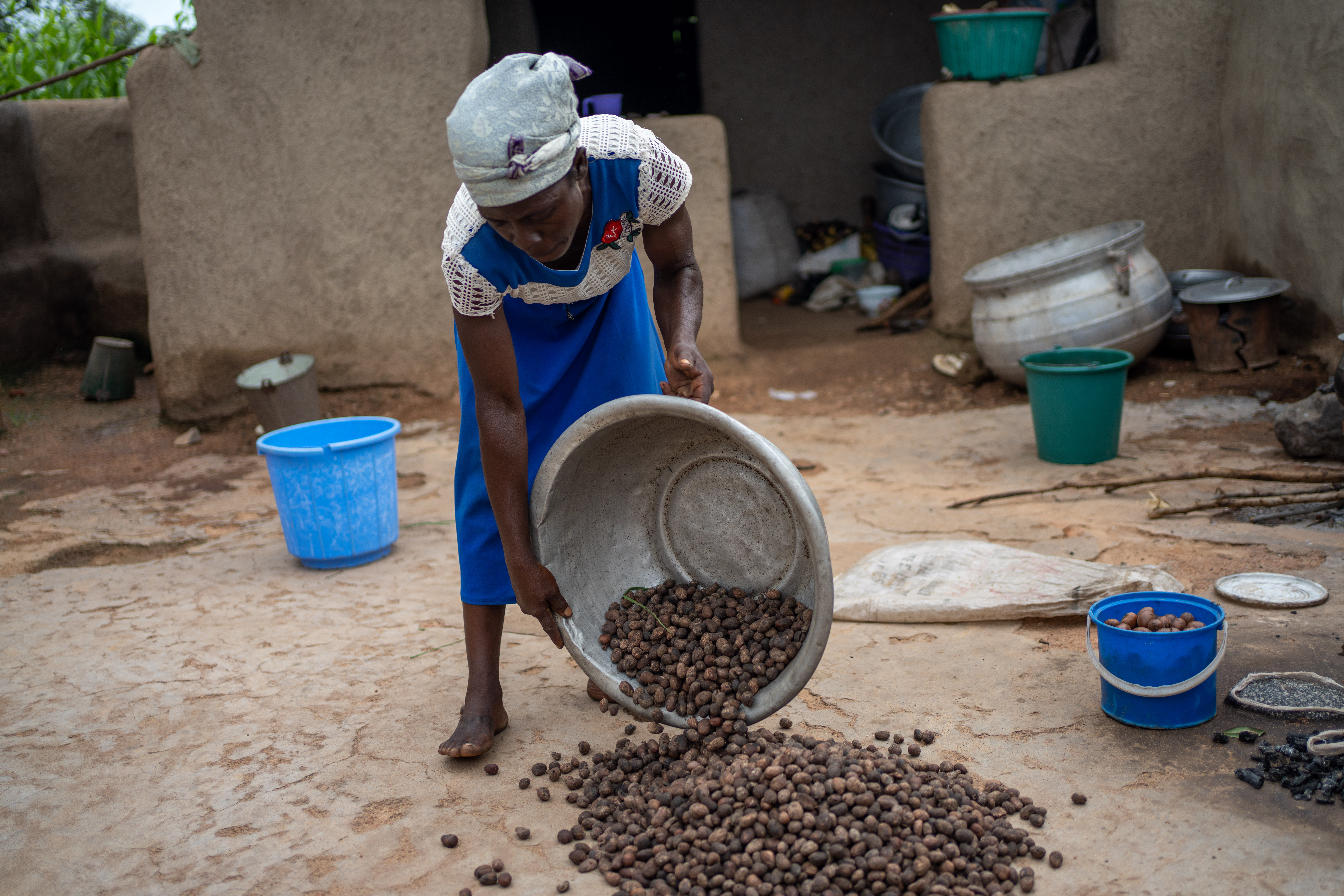 Harnessing shea trees to tackle emissions and restore land | Tree Aid ...