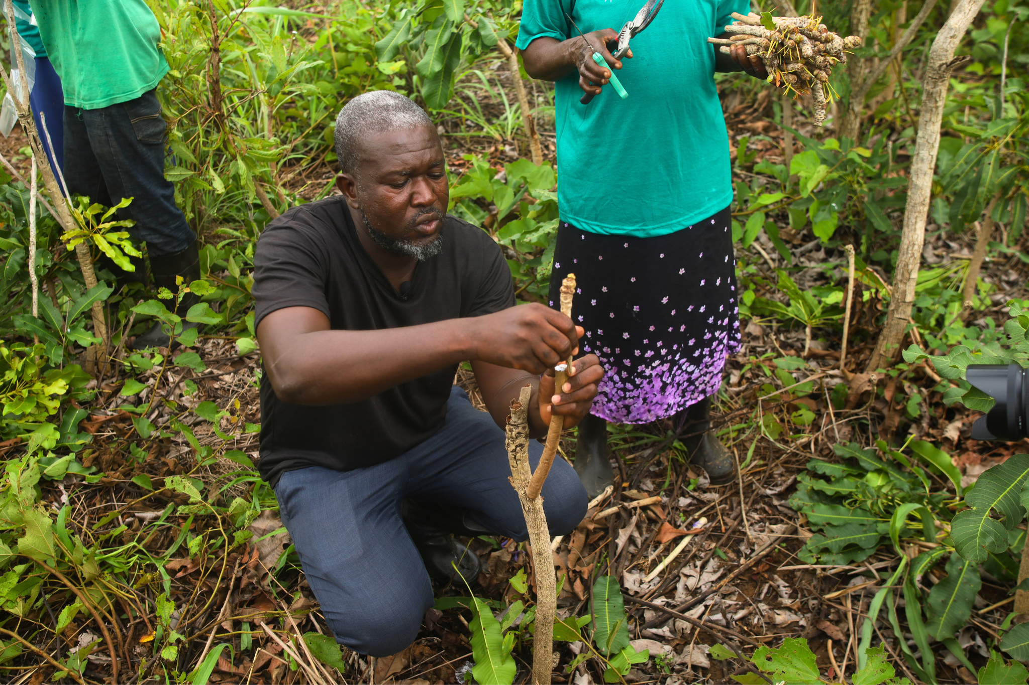Work with us | Tree Aid
