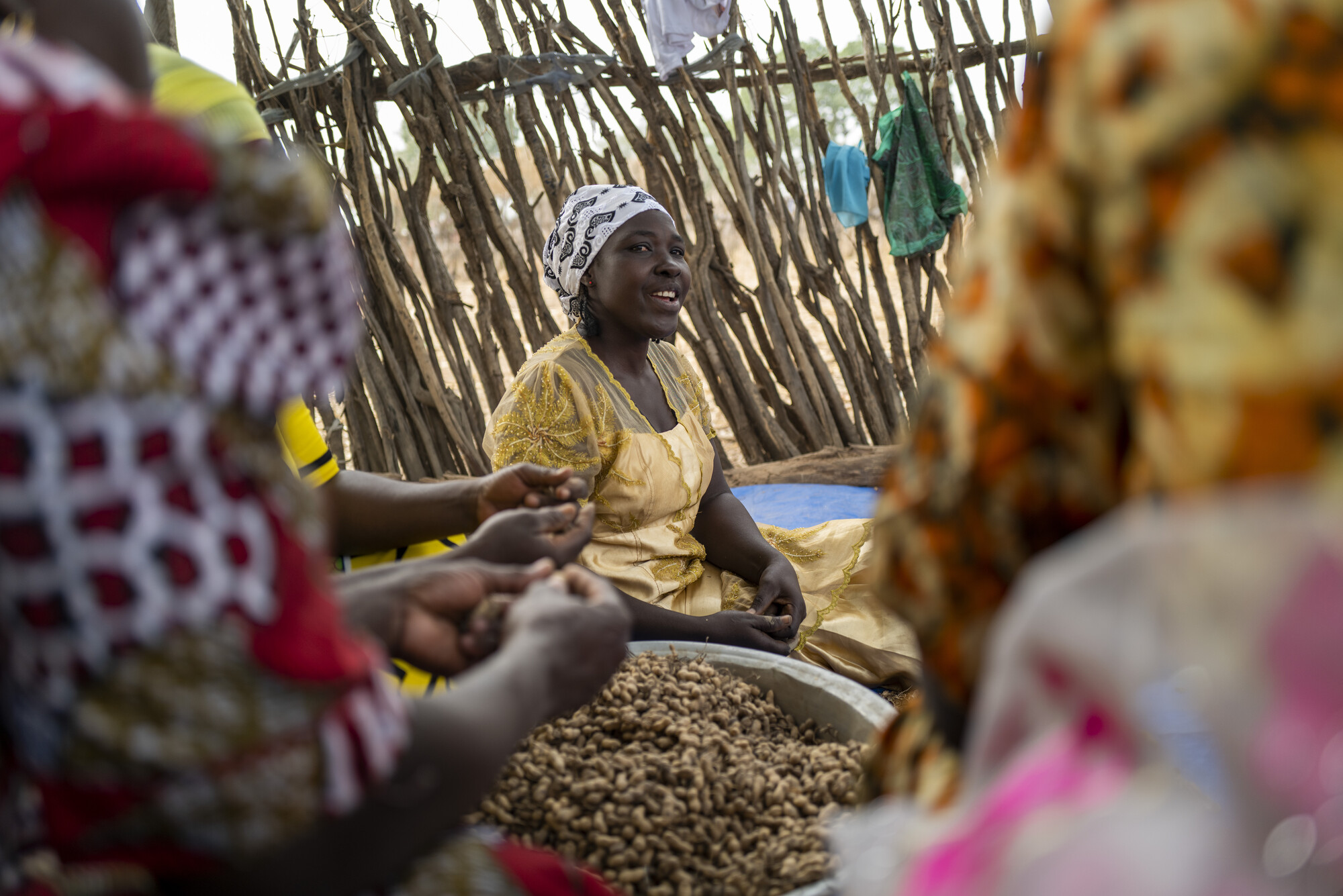 Get involved | Tree Aid