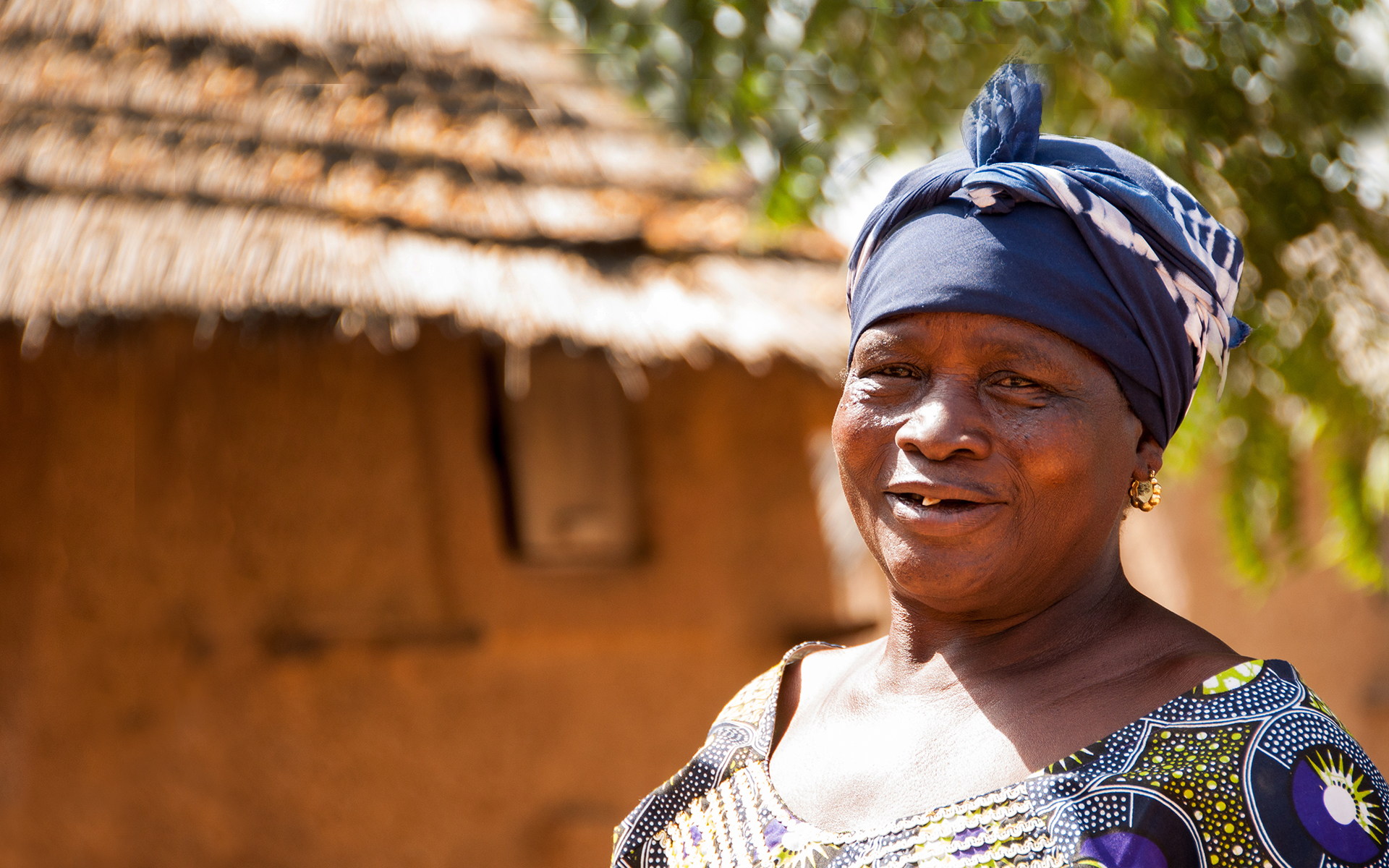 Strengthening forest management in Mali | Tree Aid