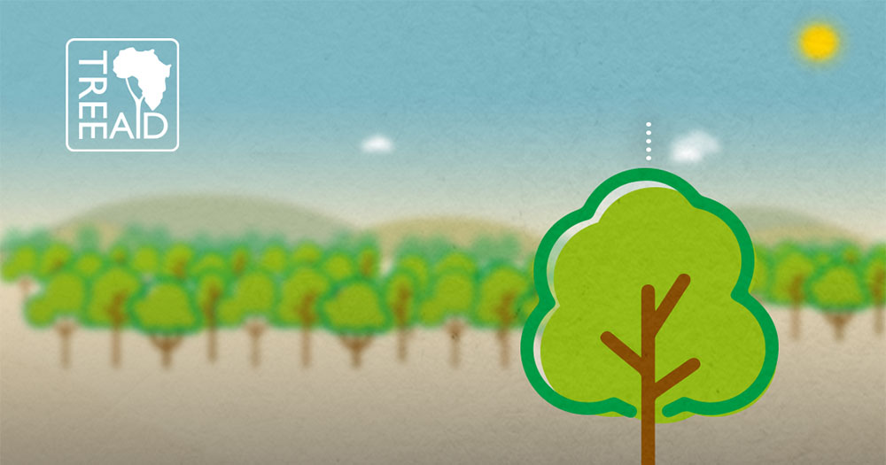 Explore our Forever Forest | Tree Aid