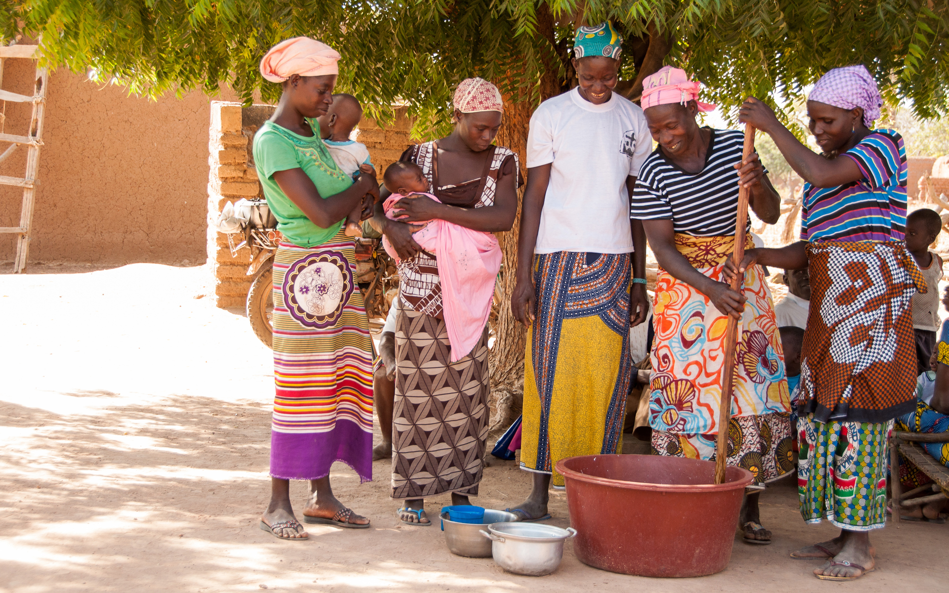 Decreasing poverty by 34% in Mali | Tree Aid