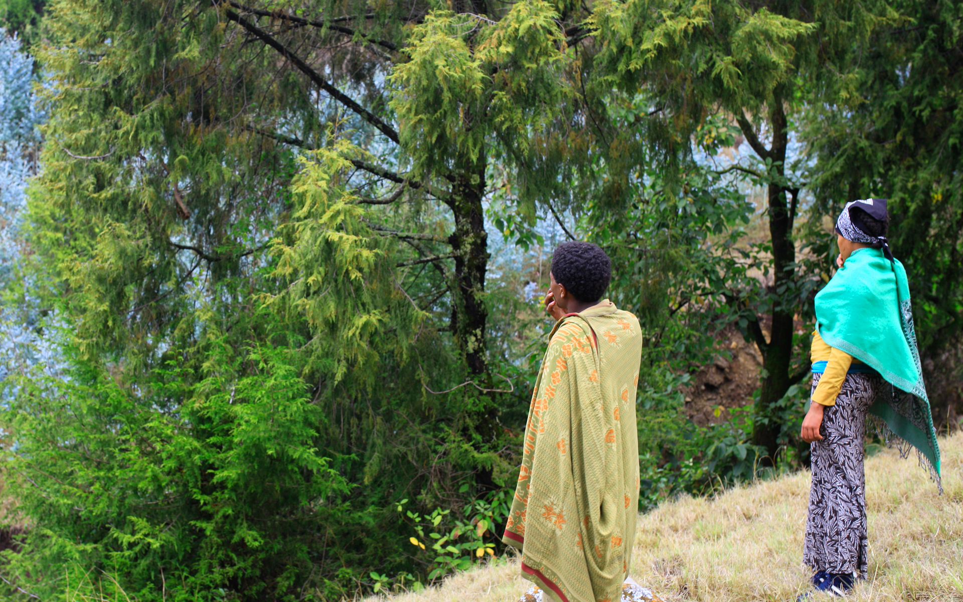 Breaking a tree planting world record in Ethiopia | Tree Aid