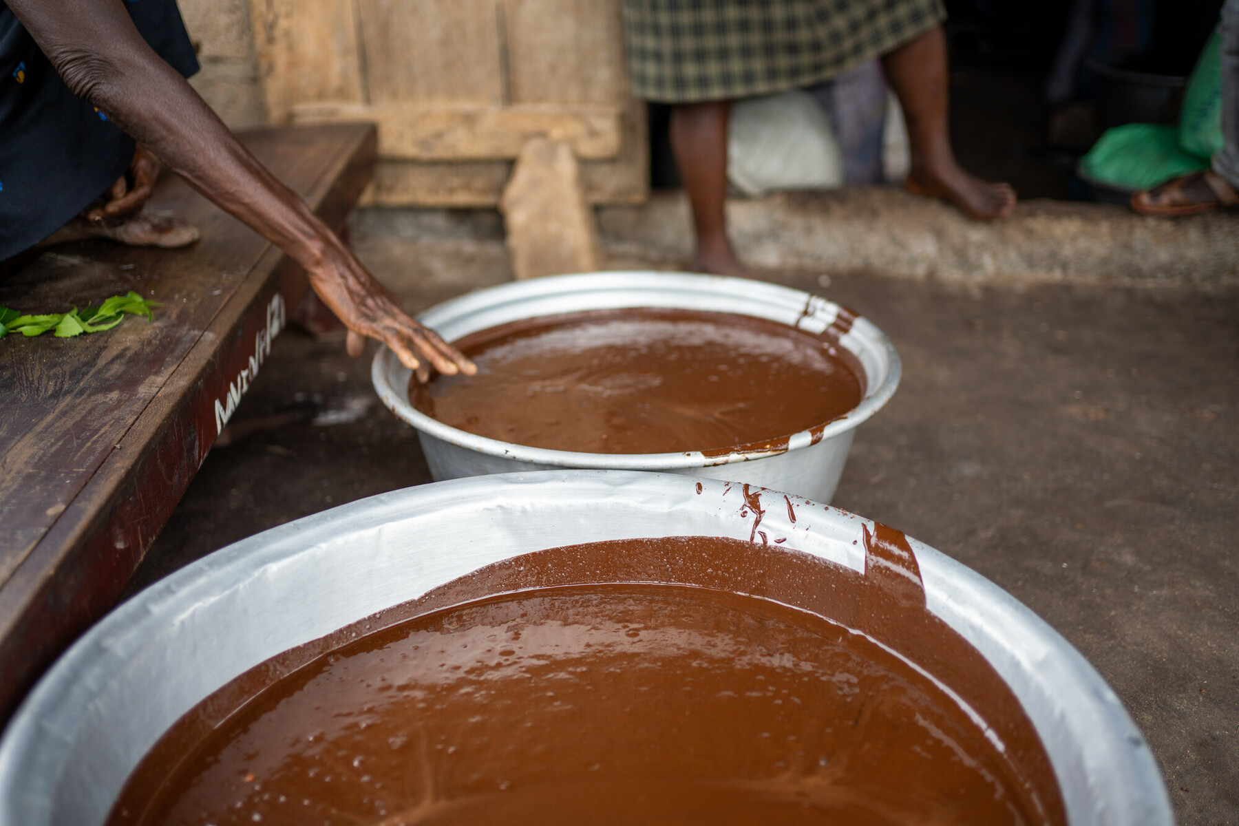 Harnessing shea trees to tackle emissions and restore land | Tree Aid ...