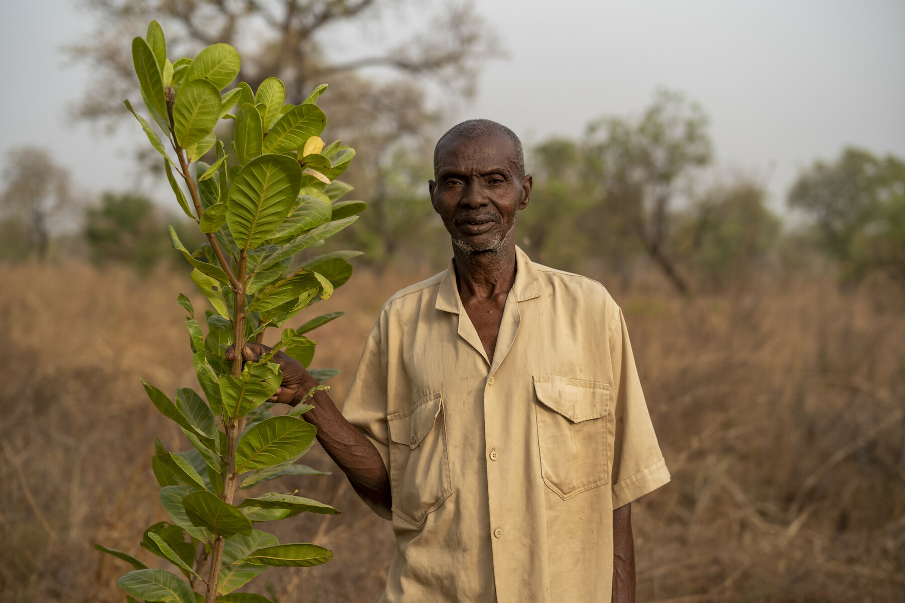 Get inspired to become a business partner | Tree Aid