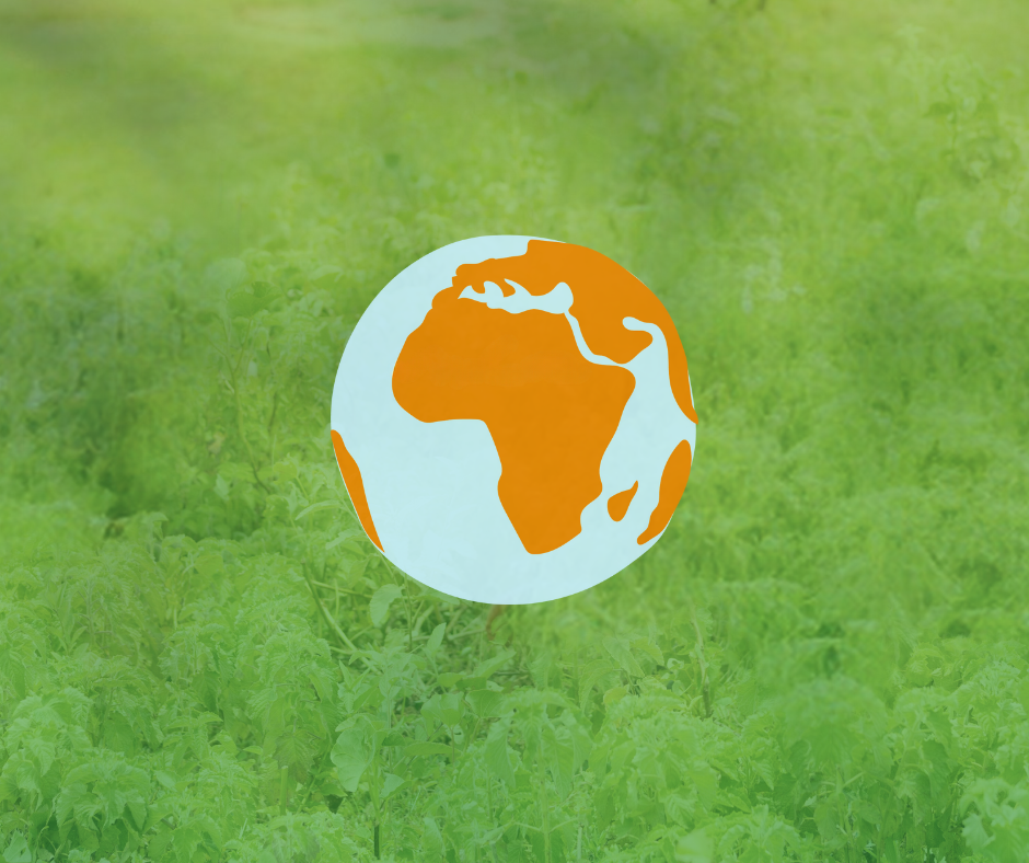 Top 10 Climate Crisis Terms Explained: Our Jargon Buster | Tree Aid